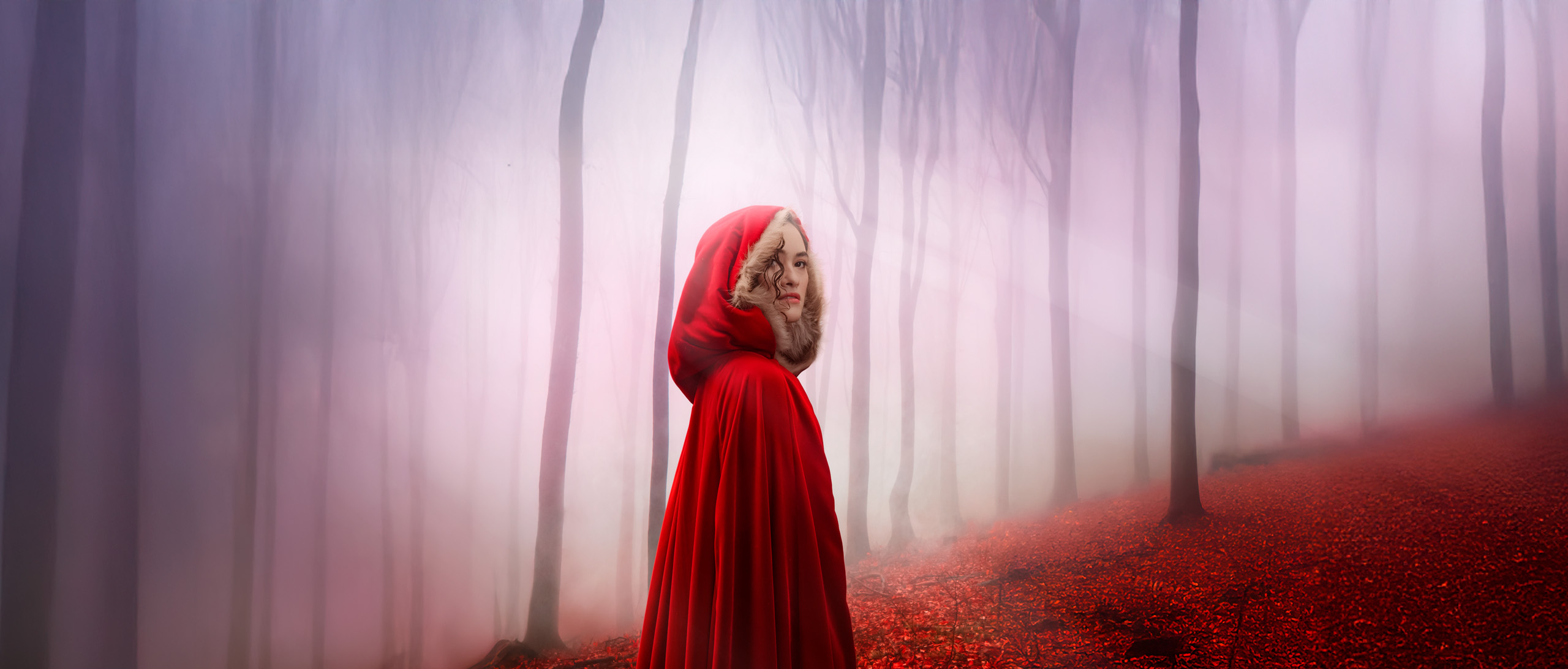 Into the Woods - QTIX