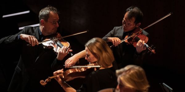 Tognetti. Mendelssohn. Bach. - Queensland Performing Arts Centre (QPAC)