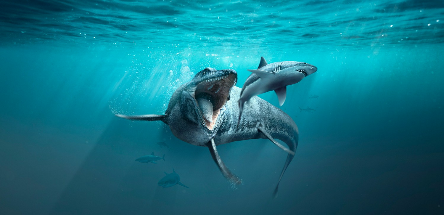 Sea Monsters: Prehistoric Ocean Predators - QTIX