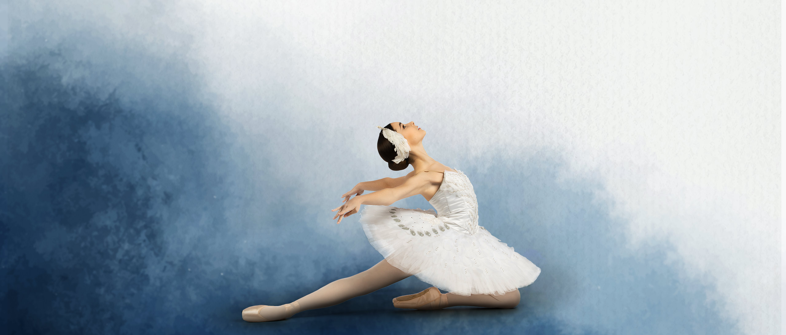 Ballet Theatre Queensland – Swan Lake Act 2 & Graduation Ball ...