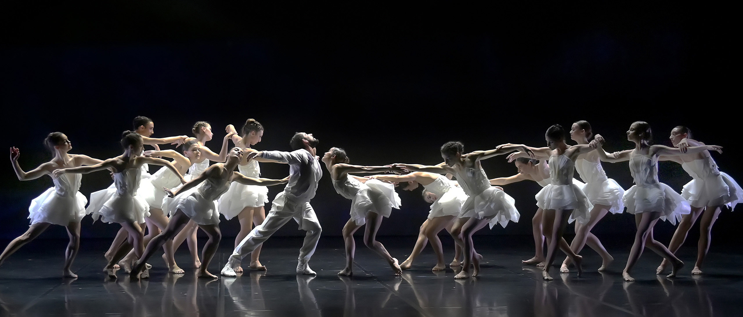 Ballet Preljocaj – Swan Lake on Digital Stage - Queensland Performing ...
