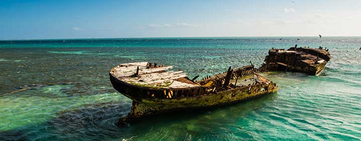 Everything You Need to Know About: Shipwrecks - QTIX