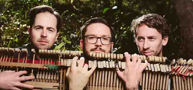 Trichotomy and Percussion - QTIX