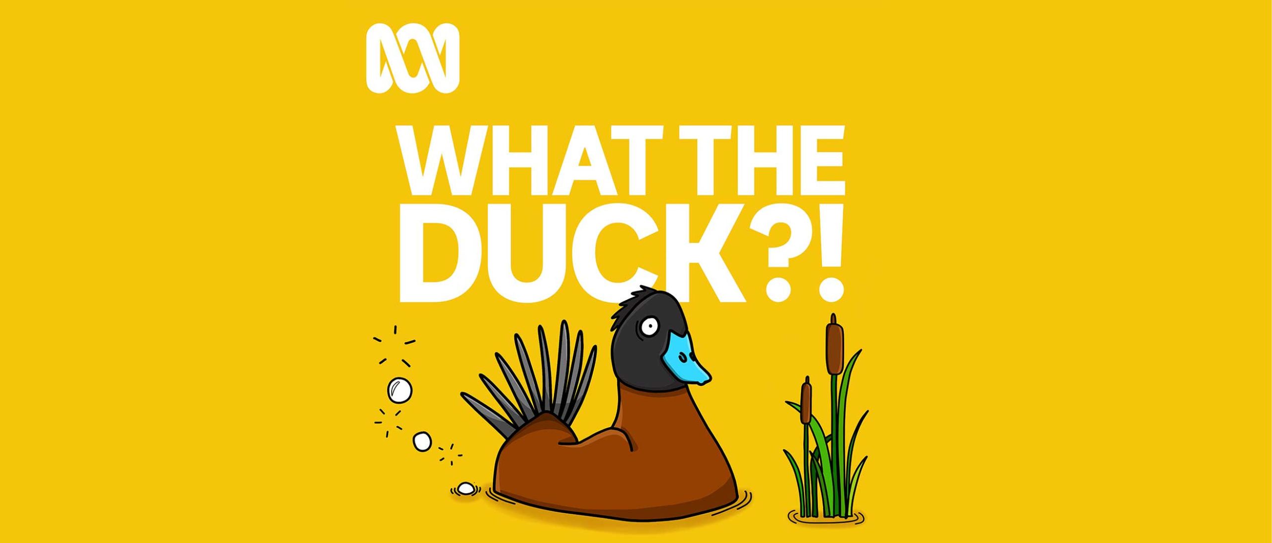 Anne Jones What The Duck