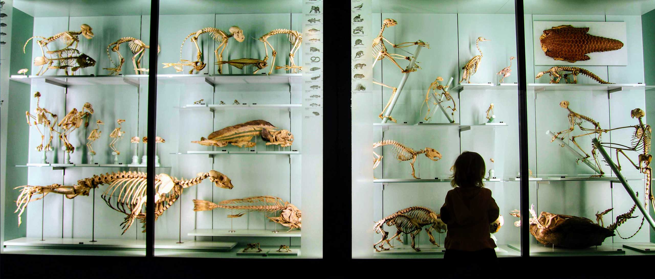 Mysteries from the Museum - QTIX