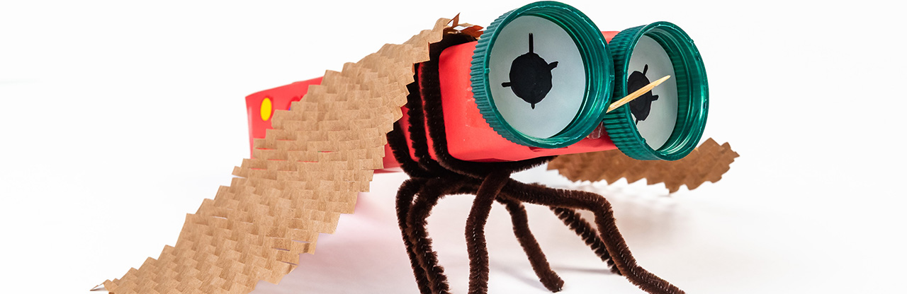 Build a Bug Workshop - QTIX